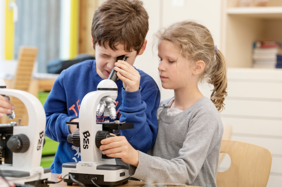 Hochbegabtenförderung Baden-Württemberg – Hector Kinderakademien